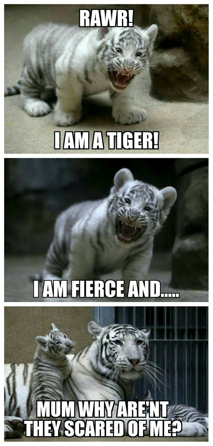 Mum Why 9gag