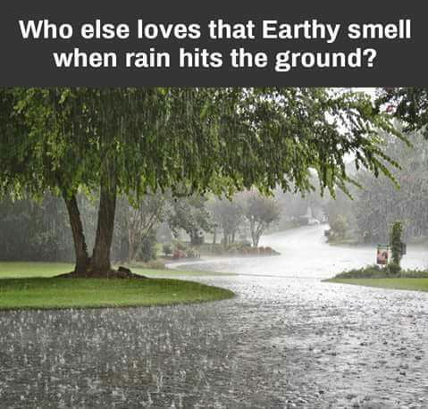 I love that..do you.. ? - 9GAG