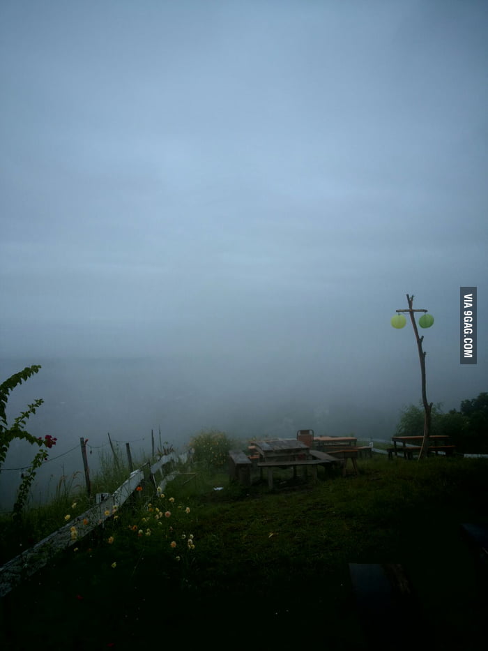 The Mist... - 9GAG