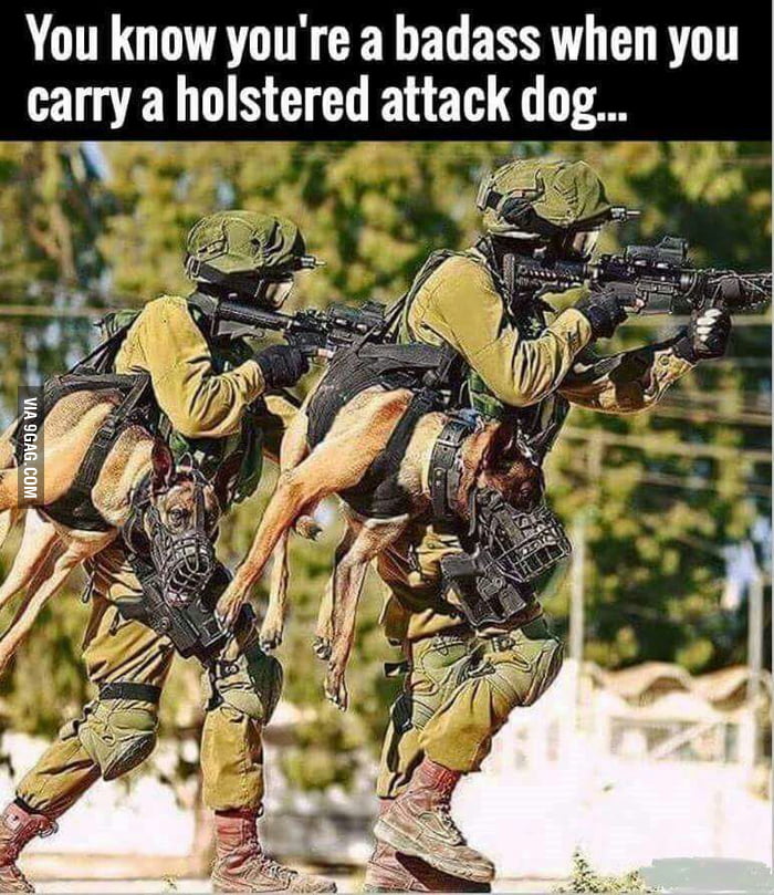 Army Doggo - 9GAG
