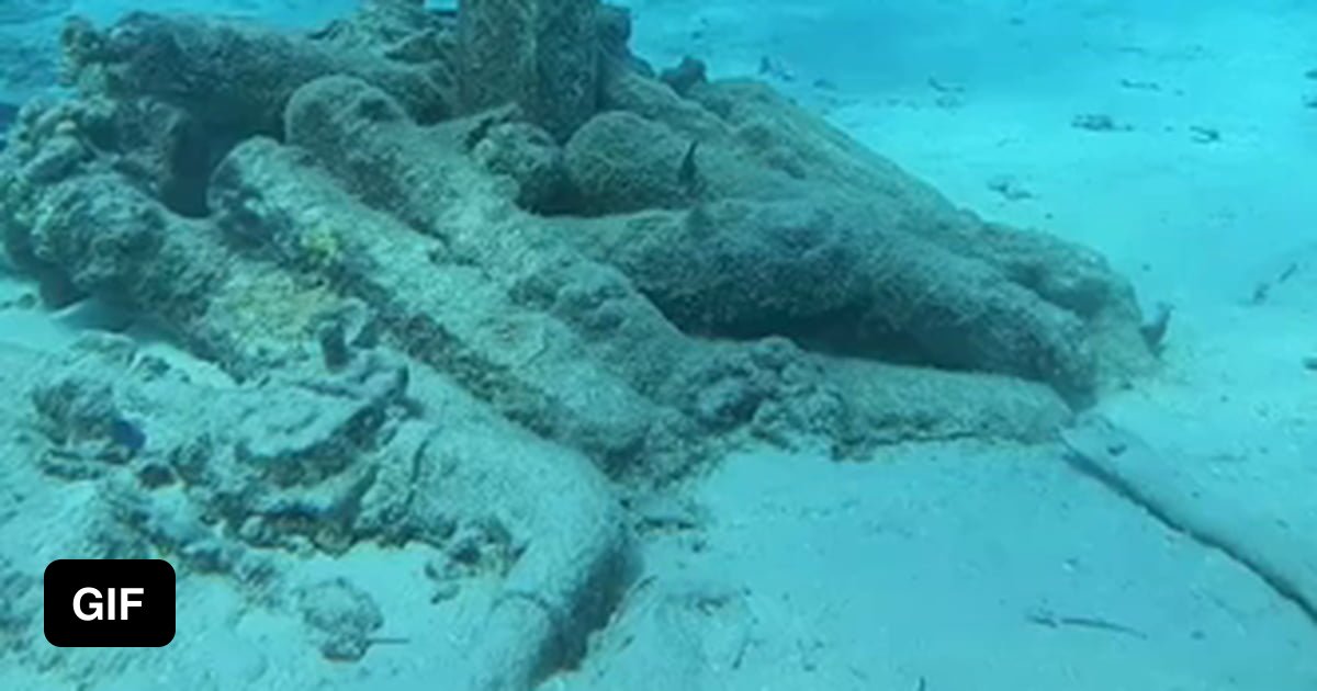 Discover a grave memorial in ocean while I dive - 9GAG