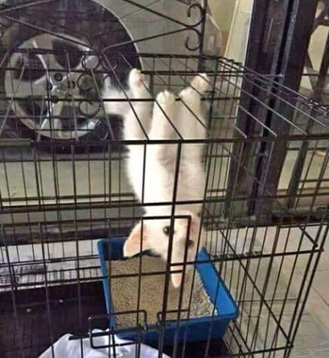 Is this normal? - 9GAG