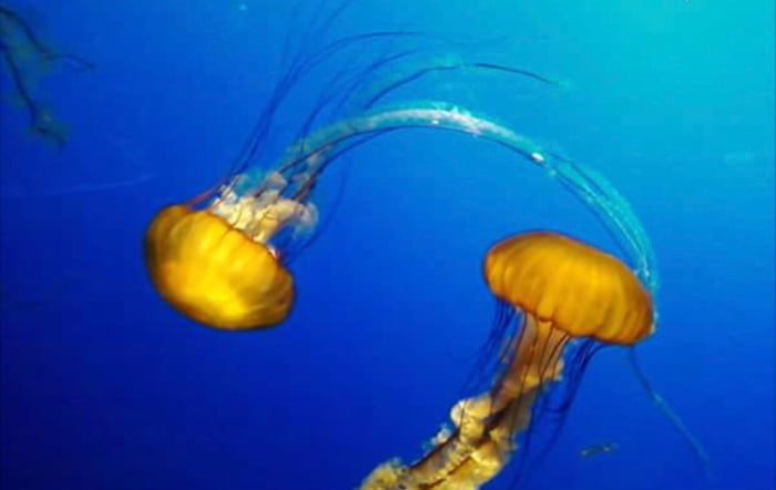 Jelly spin - 9GAG