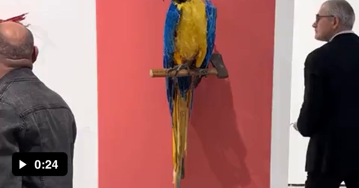 Spectacular anamorphic sculptures on display at Art Basel Hong Kong by ...