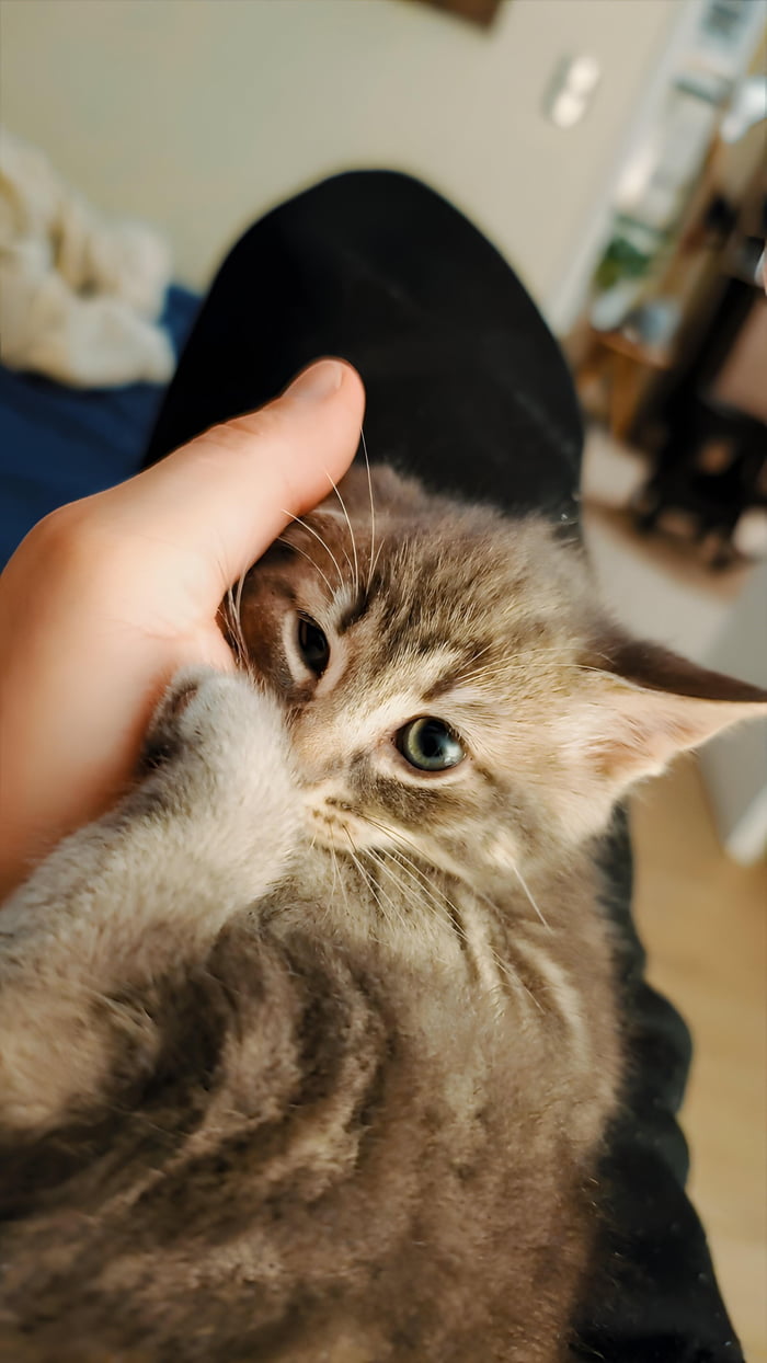 Say hello to Appa! - 9GAG