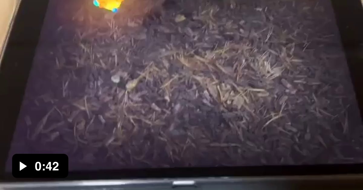 Watch this gamer pro! - 9GAG