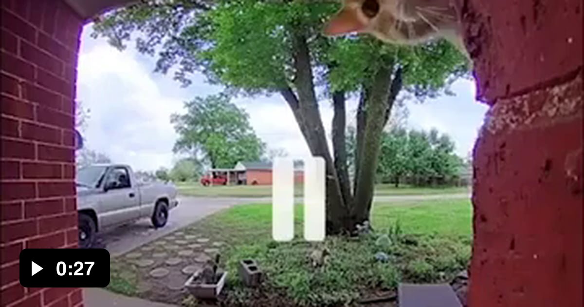 “Excuse me, Sir or Madam, but do you have a moment to spare for the ...