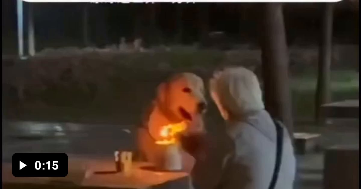 Things that are keeping this world from imploding - 9GAG