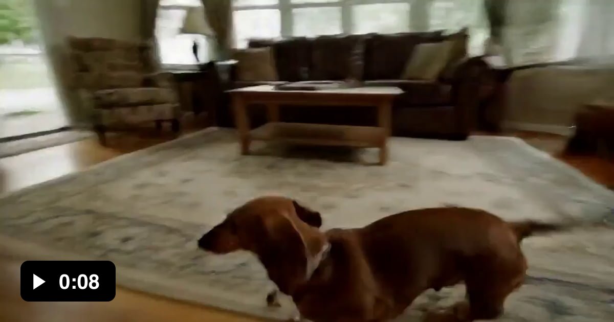 Well f**k. AI videos are now almost indistinguishable from reality. - 9GAG