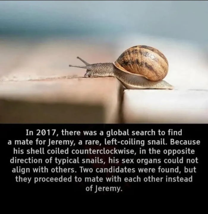 Dawn! Just my luck... - 9GAG