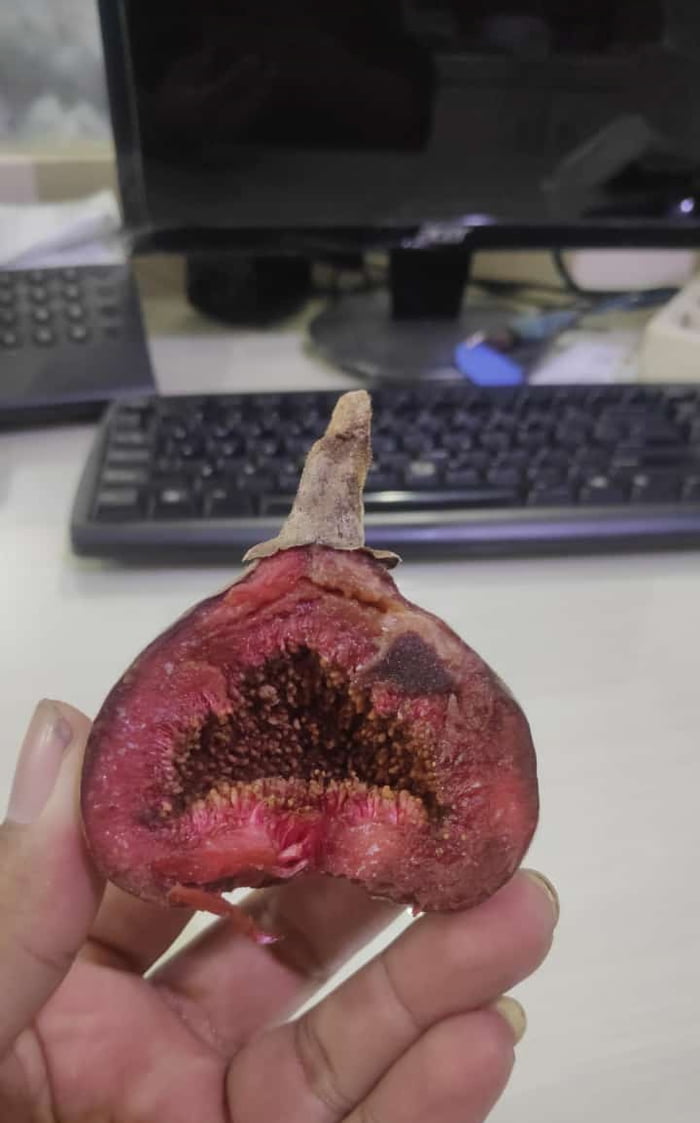 In the future, things will be automated, so people will have figs ...