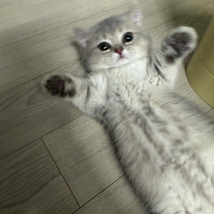 Giving free hugs to everyone - 9GAG