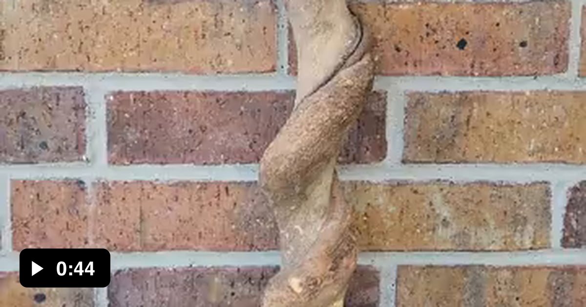 This is the most awesome stick I’ve ever laid eyes on - 9GAG