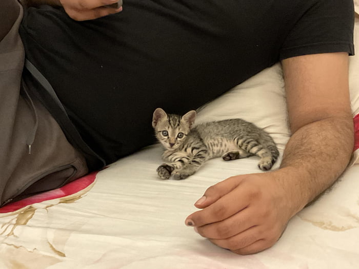 Her name is Tiny. - 9GAG