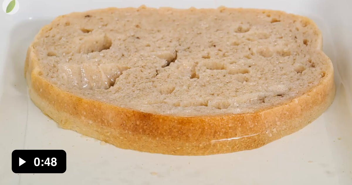 Mold growing on slice of bread in water - 9GAG