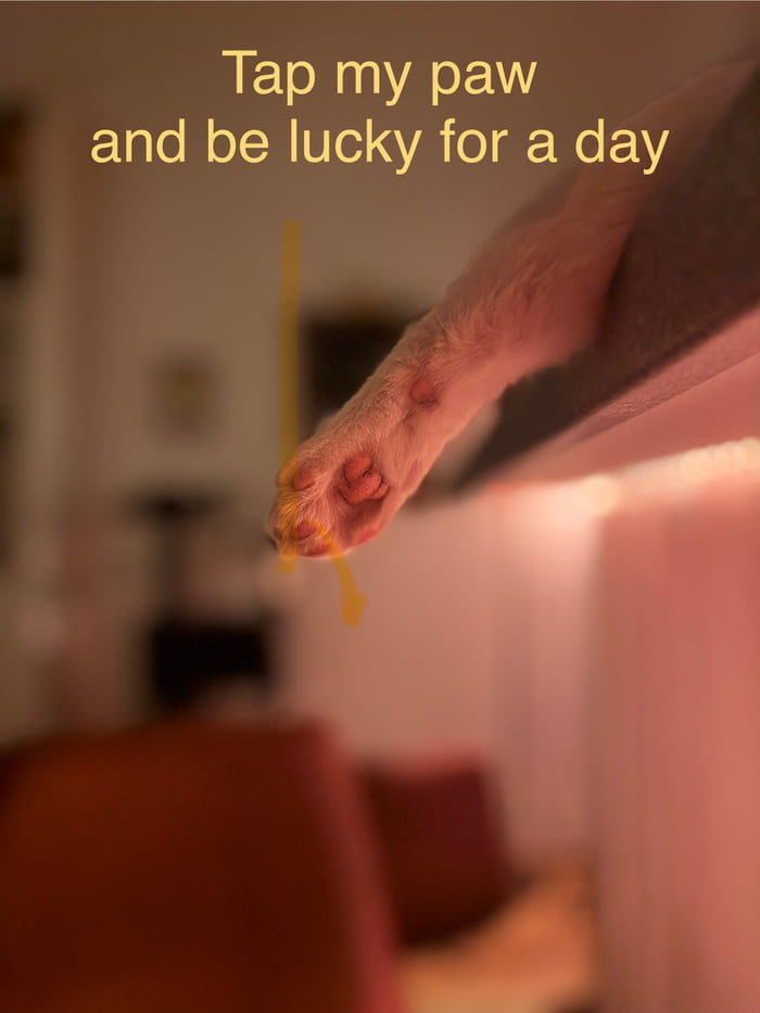 Now continue scrolling … - 9GAG