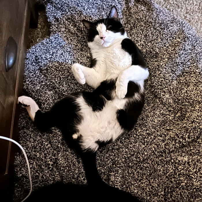 Here's Dingus - 9GAG