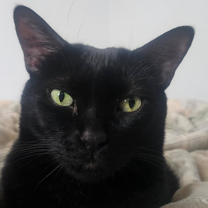 She is 9 today - 9GAG