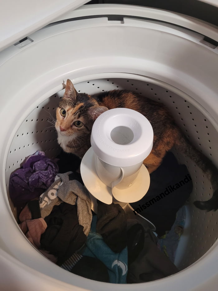 Laundry Inspector inspecting the Laundry - 9GAG