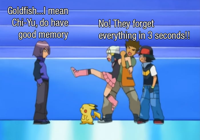 Goldfish do have good memories, scientists find - 9GAG