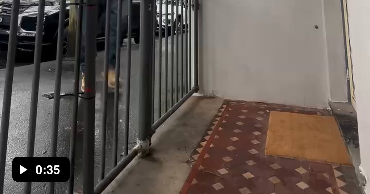 My last two brain cells on a Monday morning. - 9GAG