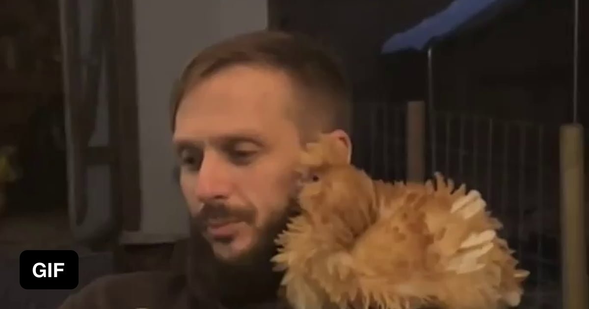 Scrolling through videos together - 9GAG