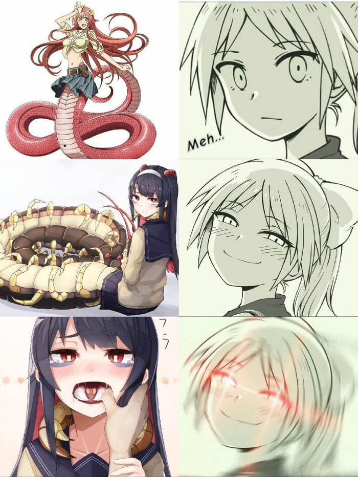 An exquisite choice - 9GAG