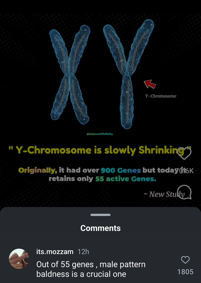 Yes, Yes very Important... - 9GAG