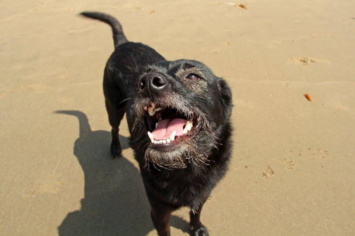 Nigel: "Hey baby, give us a kiss" - 9GAG