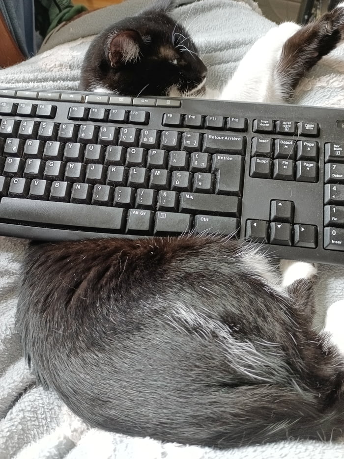 Reverse uno card - 9GAG