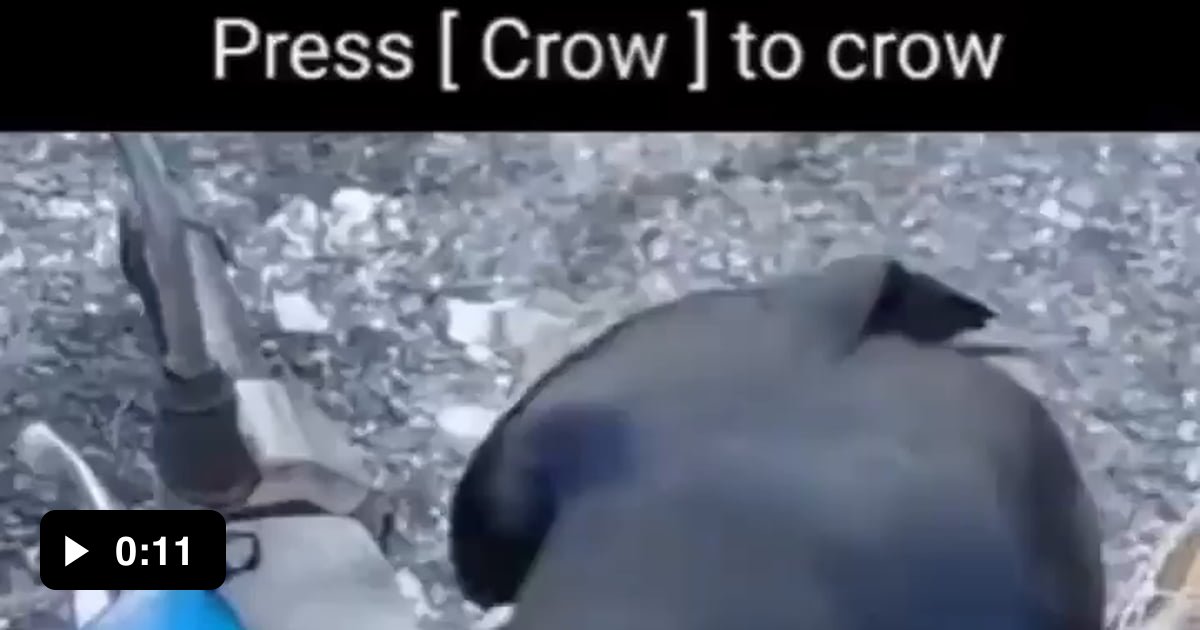 Crow.exe - 9GAG