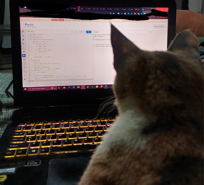 Once a meowchanic now a purrgrammer - 9GAG