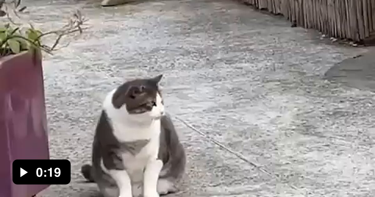 More passion, more energy - 9GAG