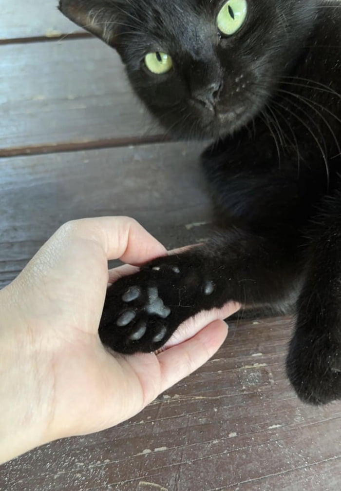 The Beans are once again in season. - 9GAG