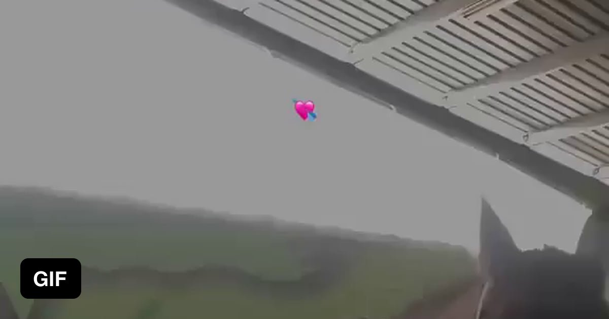 Outstanding move - 9GAG