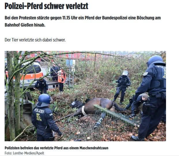 Ferd Blu gehts nicht gut - 9GAG