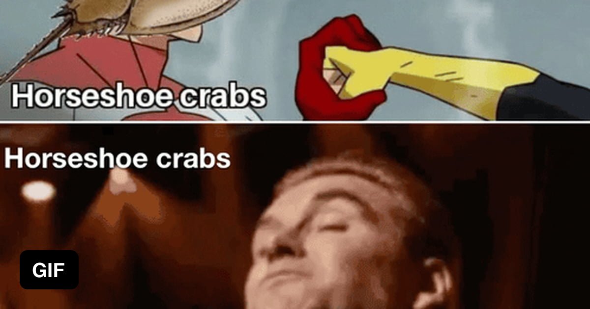 You will evolve into crab! - 9GAG