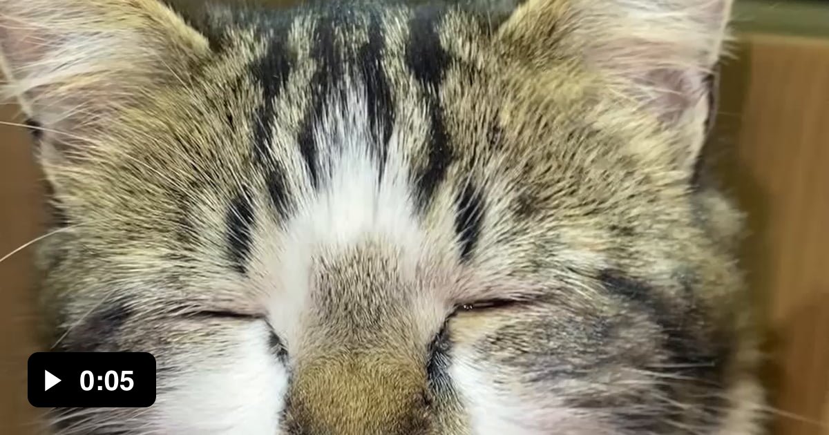 Tired mama Day 2 - 9GAG