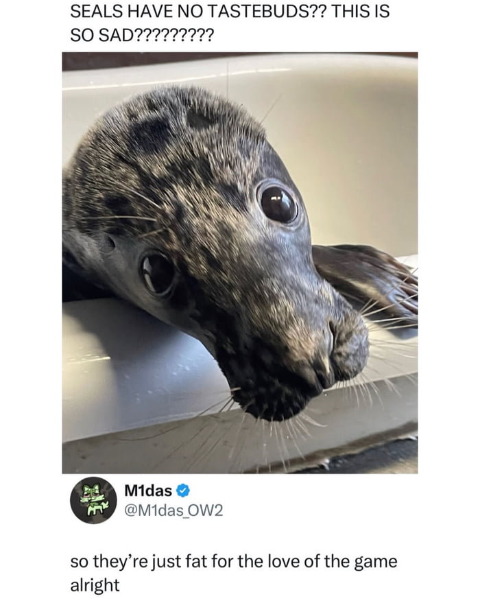 The ultimate sacrifice for pure enjoyment. - 9GAG