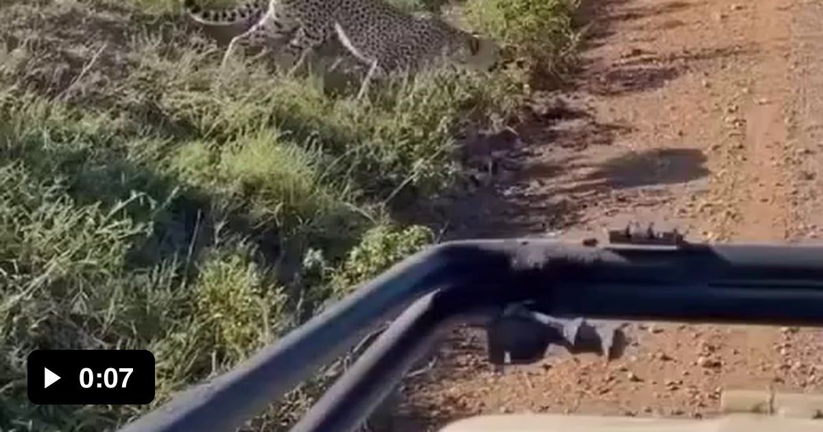 Ready for my close-up and maybe a snack... - 9GAG