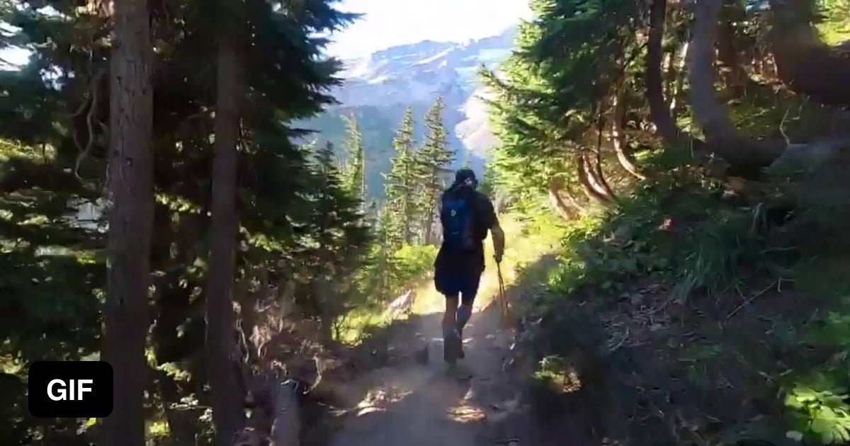 Mt Hood, Oregon trail running. - 9GAG