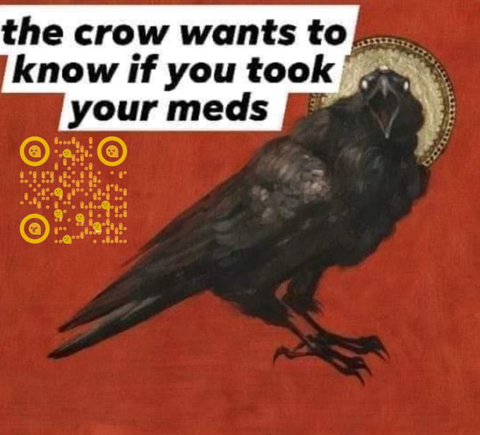 The crow wants to know... - 9GAG