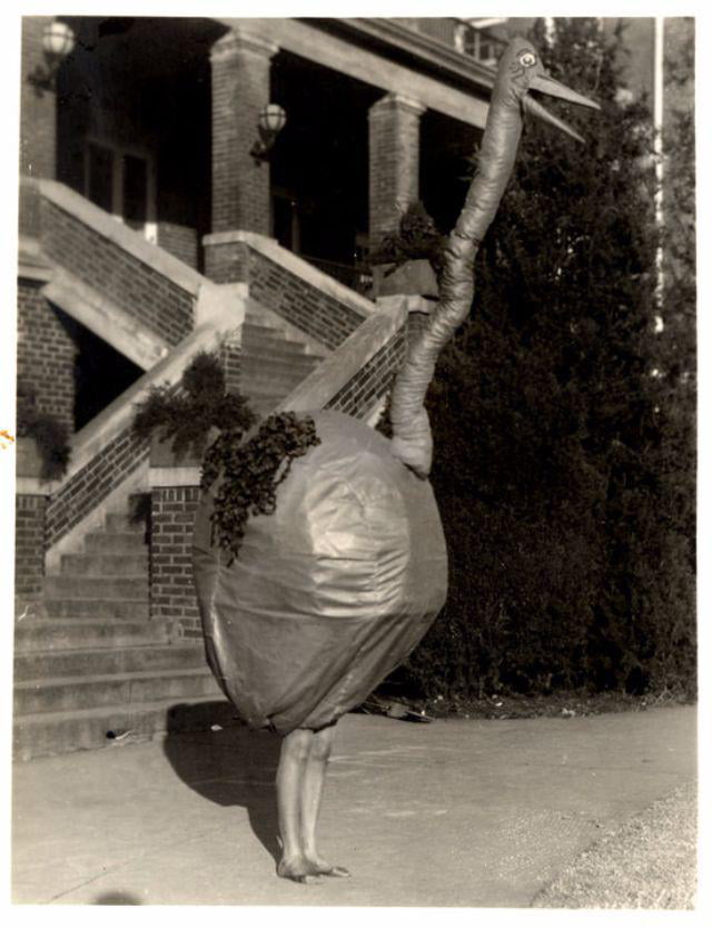 Vintage photo of a homemade ostrich costume featuring human legs at the ...