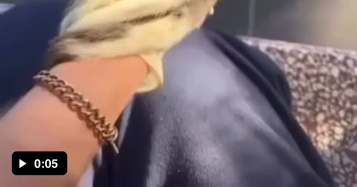 Something to keep you warm - 9GAG