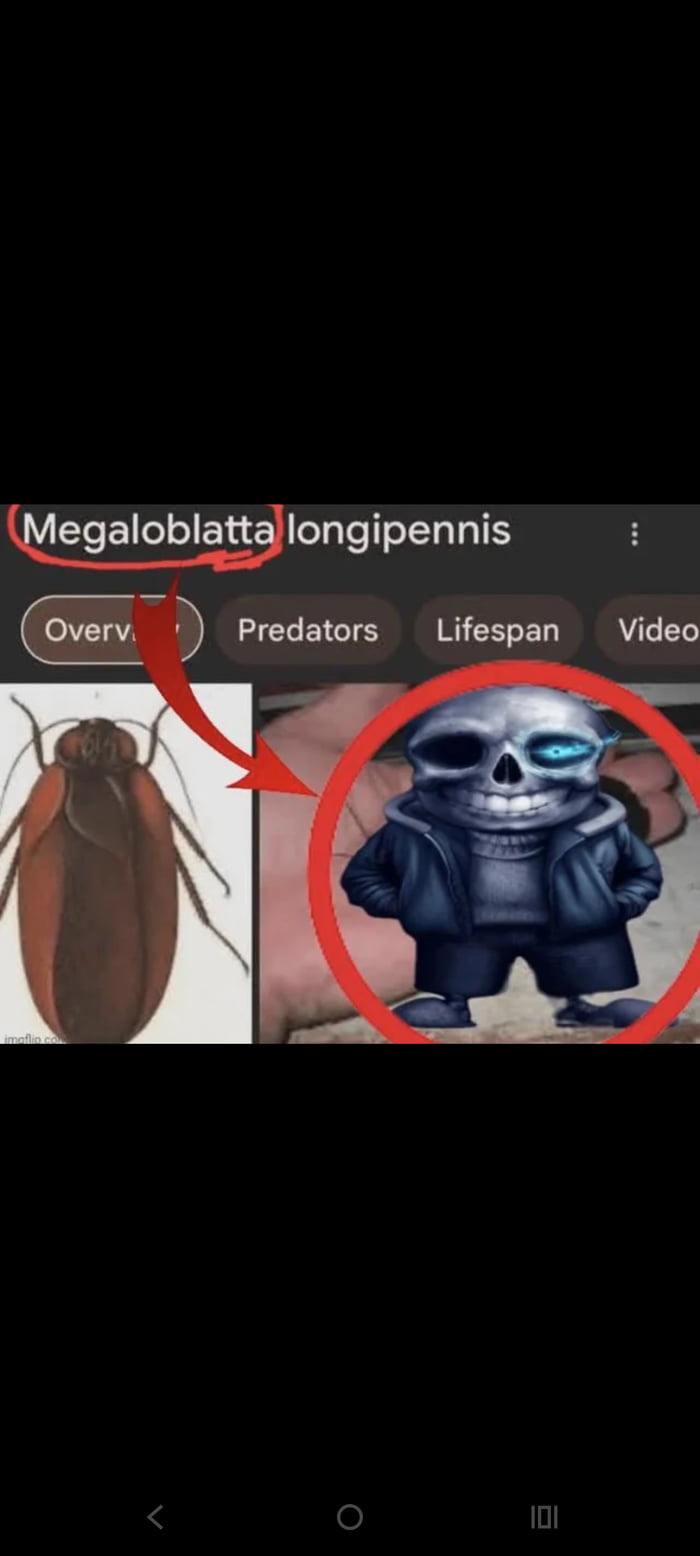 Megaloblatta, the unknown sans-form - 9GAG