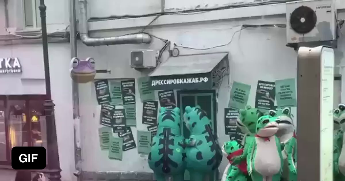 Toad training - 9GAG