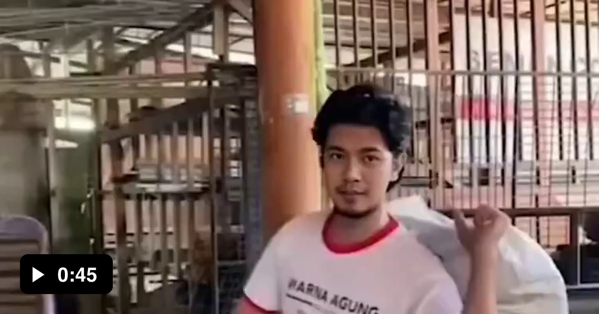 Sekarang ibu nyesal kan - 9GAG