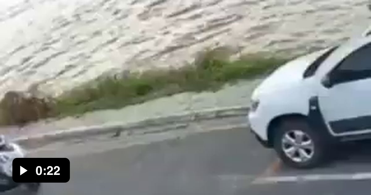 Need any help ? - 9GAG