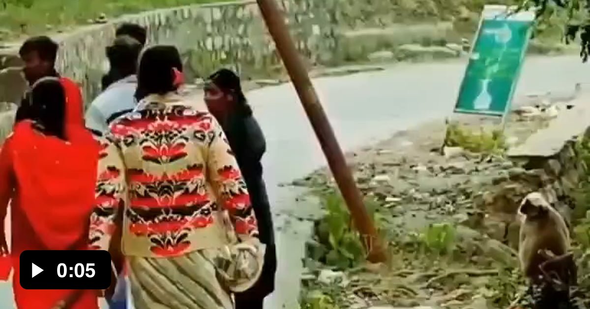 Screw you says the monkey - 9GAG