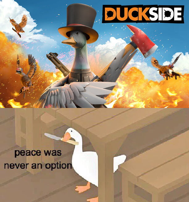 So basically, they make Rust but with Ducks - 9GAG